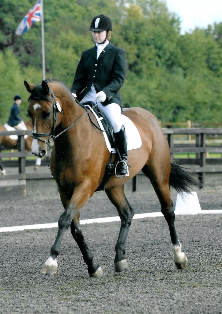 The Horse Riding Coach – The home of Liz Horner Riding Lessons